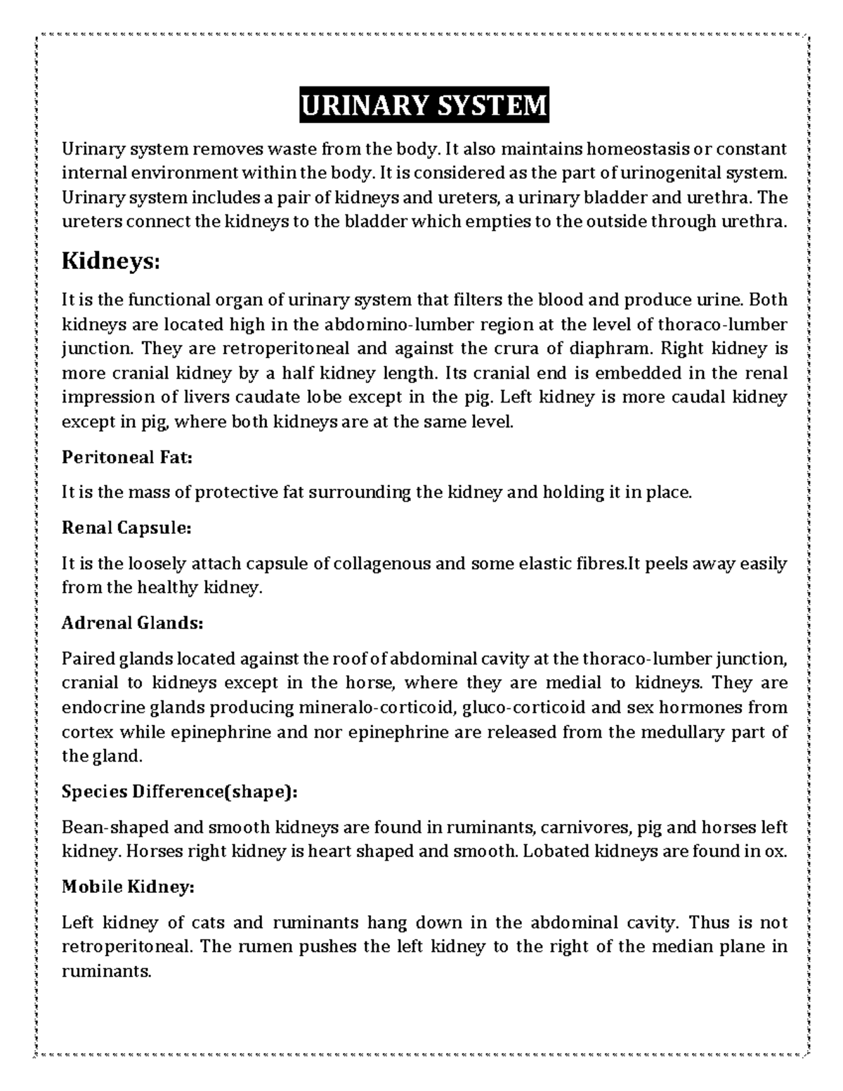 Urinary System - URINARY SYSTEM Urinary system removes waste from the ...