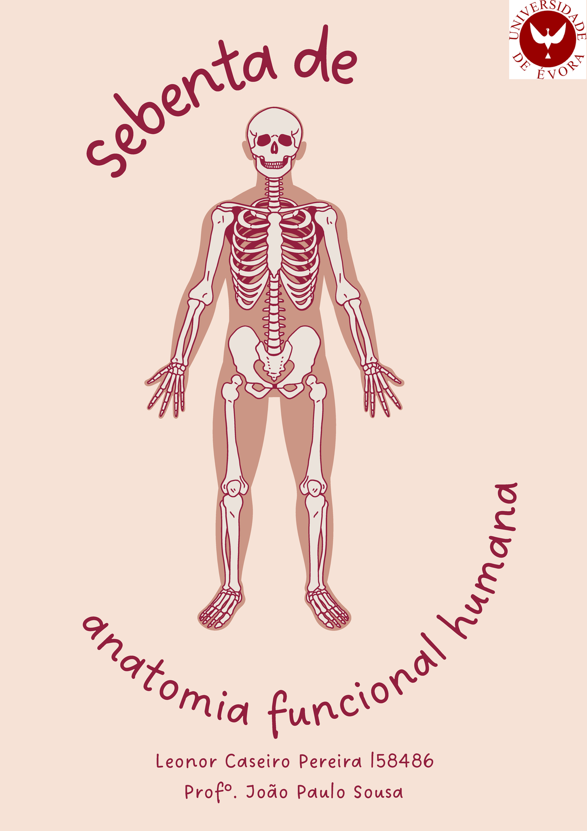 Sebenta de anatomia - S e b e n t a de a n a t o m i a f u n c i o n a ...