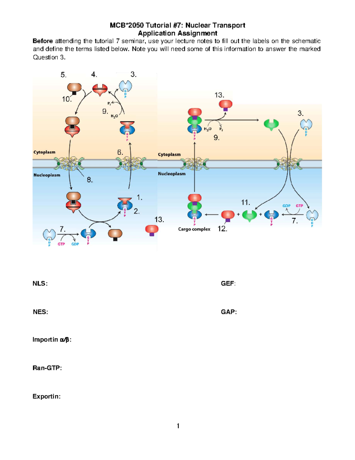 Tutorial 7 Seminar Assignment - pdf - Application Assignment Before ...