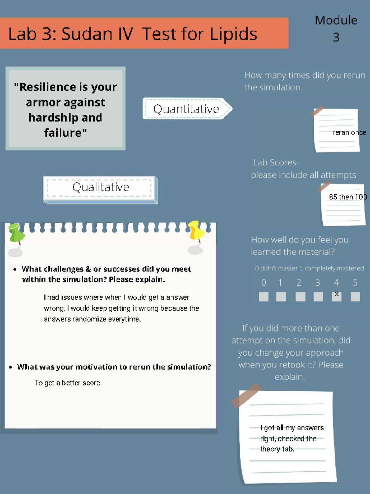 Lipid - Lab 3: Sudan IV Test for Lipids "Resilience is your armor ...