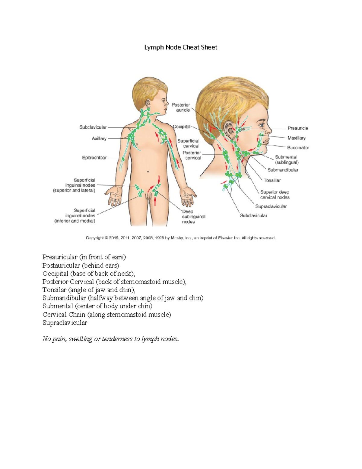 Lymph Node Cheat Sheet - BIO 60H - Lymph Node Cheat Sheet Preauricular ...