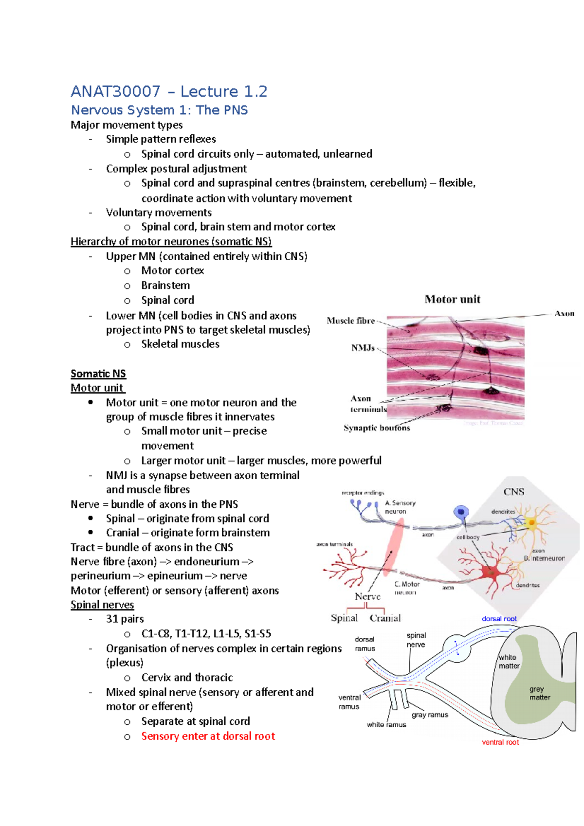 ANAT30007 Week 1 - Summary of the content covered in week 1 - ANAT30007 ...