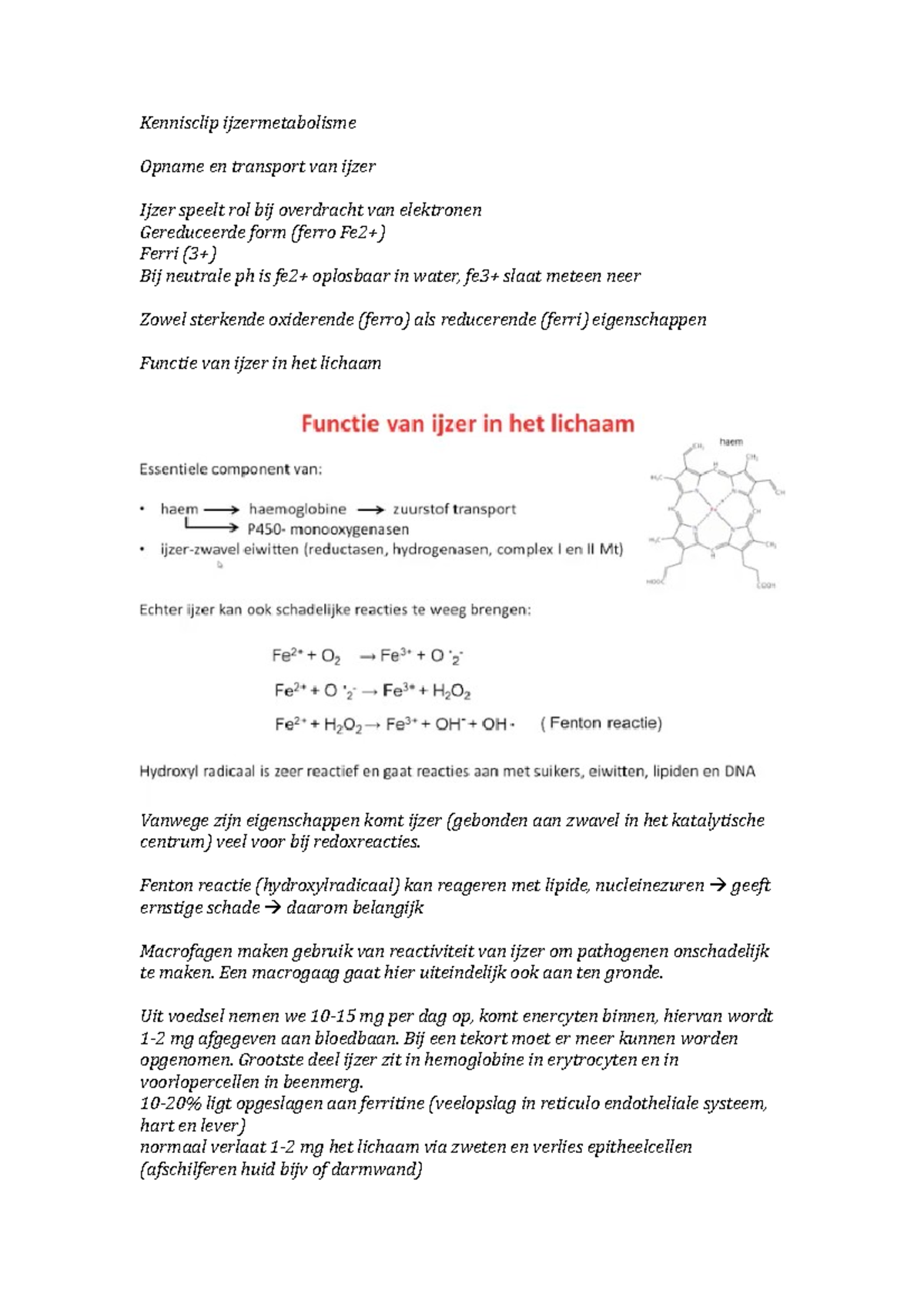 Kennisclip ijzermetabolisme - Fenton reactie (hydroxylradicaal) kan ...