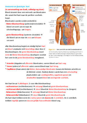 Katz schaal - samenvatting - Katz-schaal = evaluatieschaal om te ...