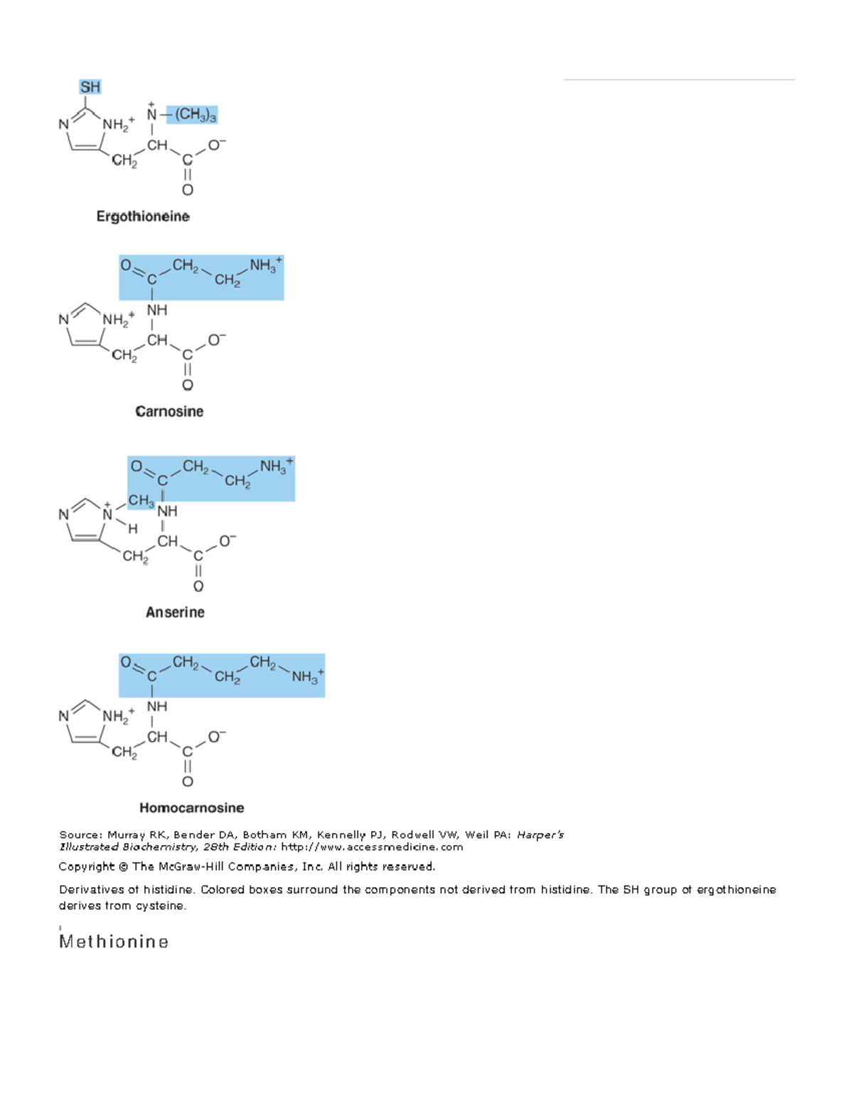 Harpers illustrated biochemistry 28th edition 61 - Derivat ives of hist ...