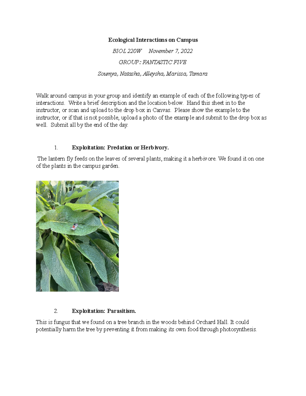 Ecological Interactions on Campus - Write a brief description and the ...