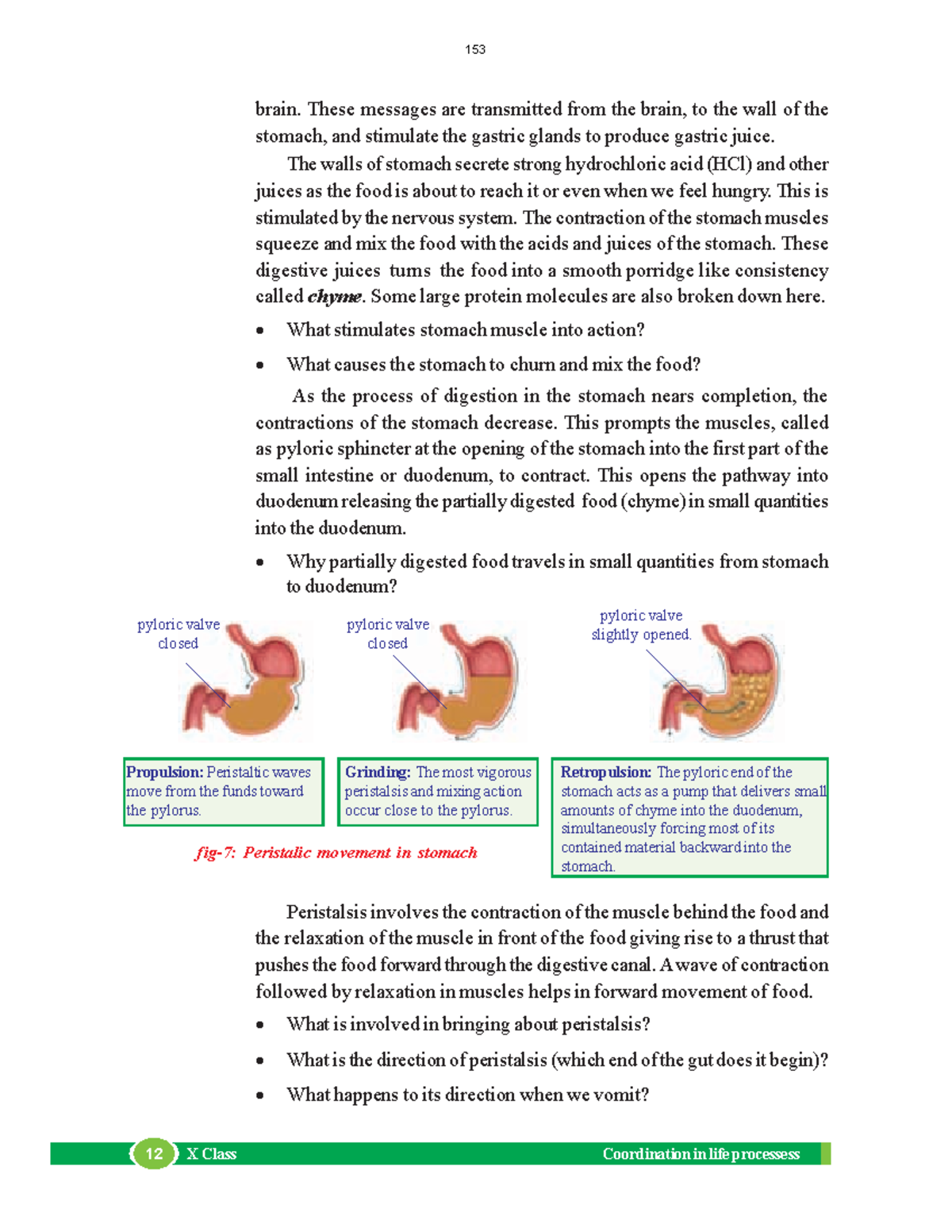 Class biology study material part 20 - 12 X Class Coordination in life ...