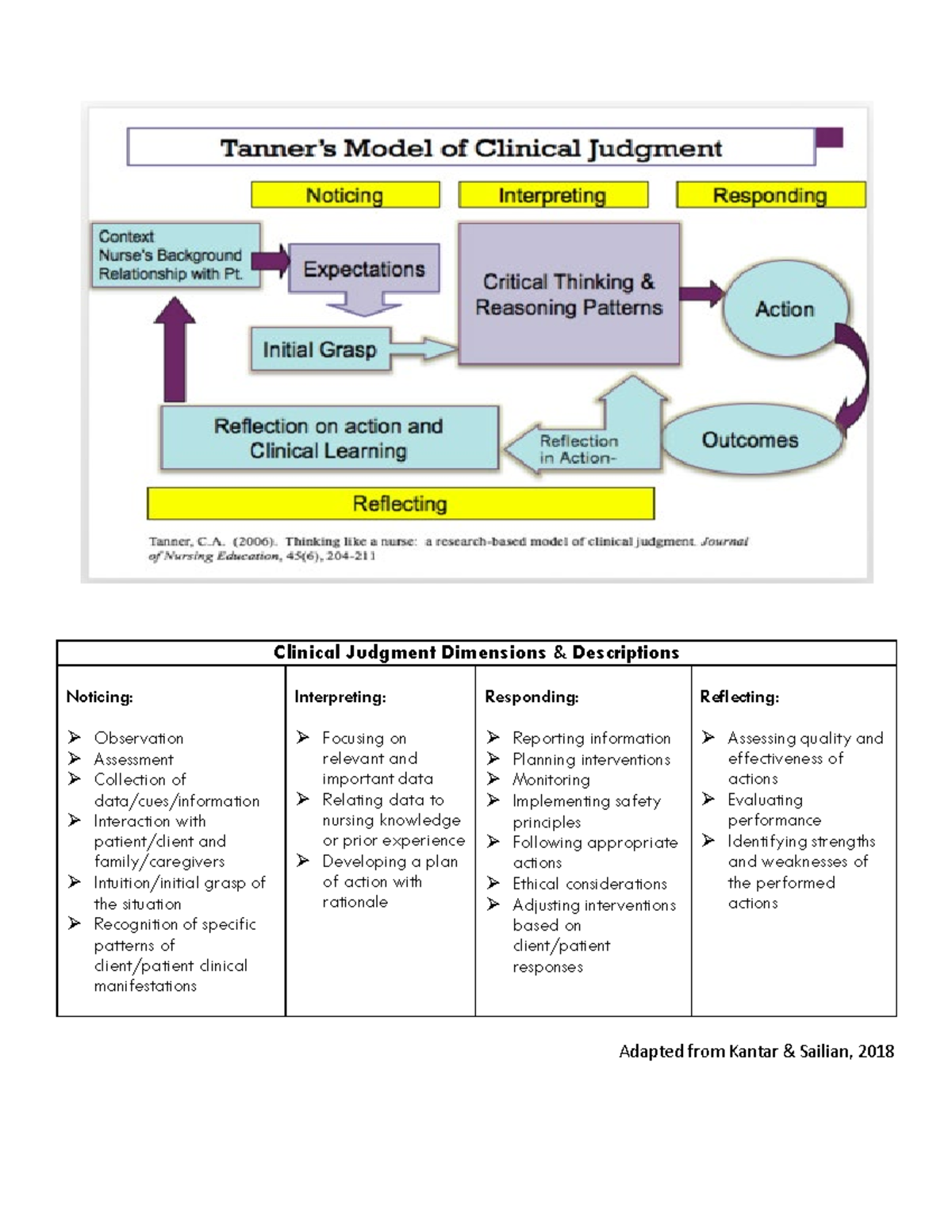 Tanners Clinical Judgment Model and Descriptions - Clinical Judgment ...