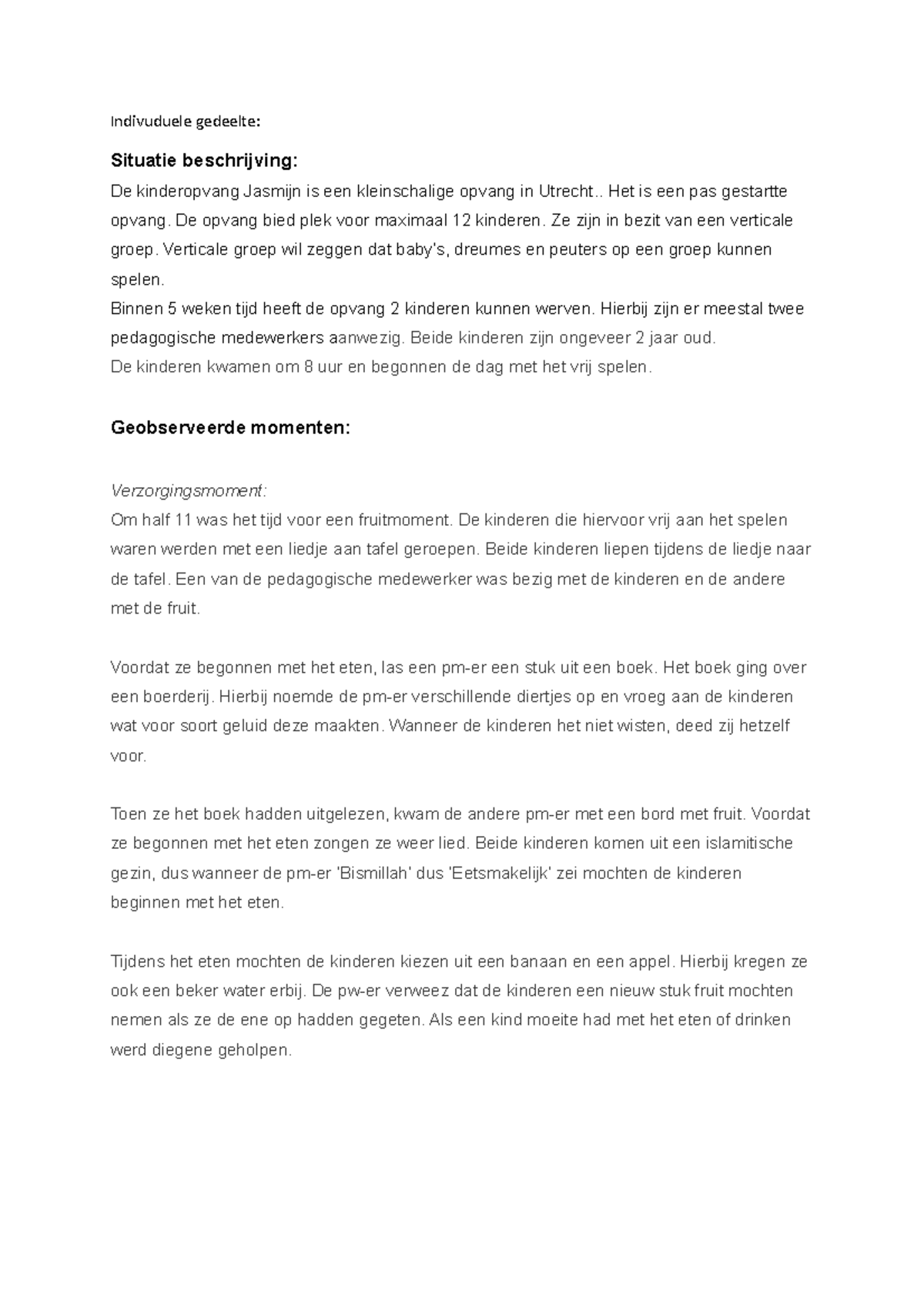 Werkstuk - Kinderopvang individueel - Indivuduele gedeelte: Situatie ...