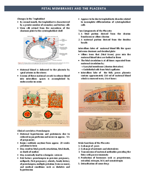 Thoracic Cavity - Cavity extends upward into the root of the neck about ...