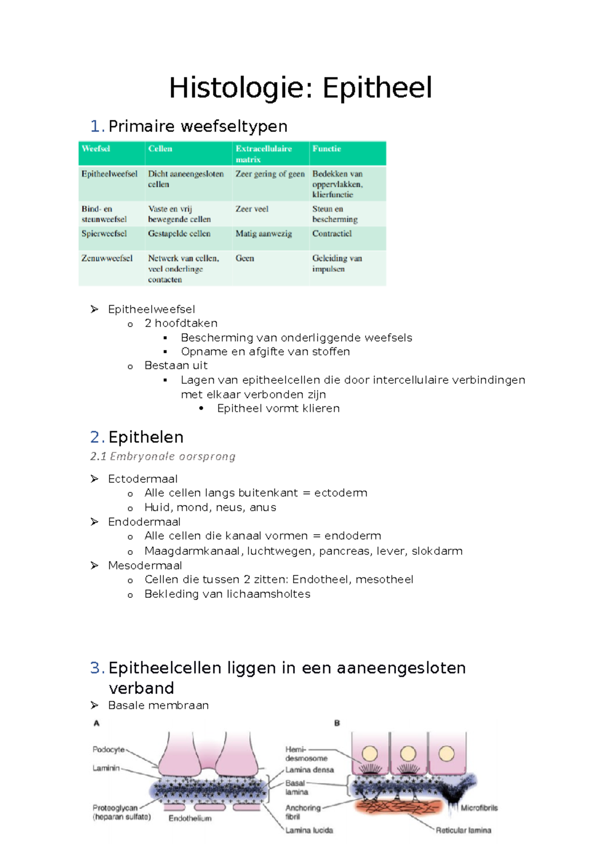 Histologie - H2 - Histologie: Epitheel 1. Primaire weefseltypen ...
