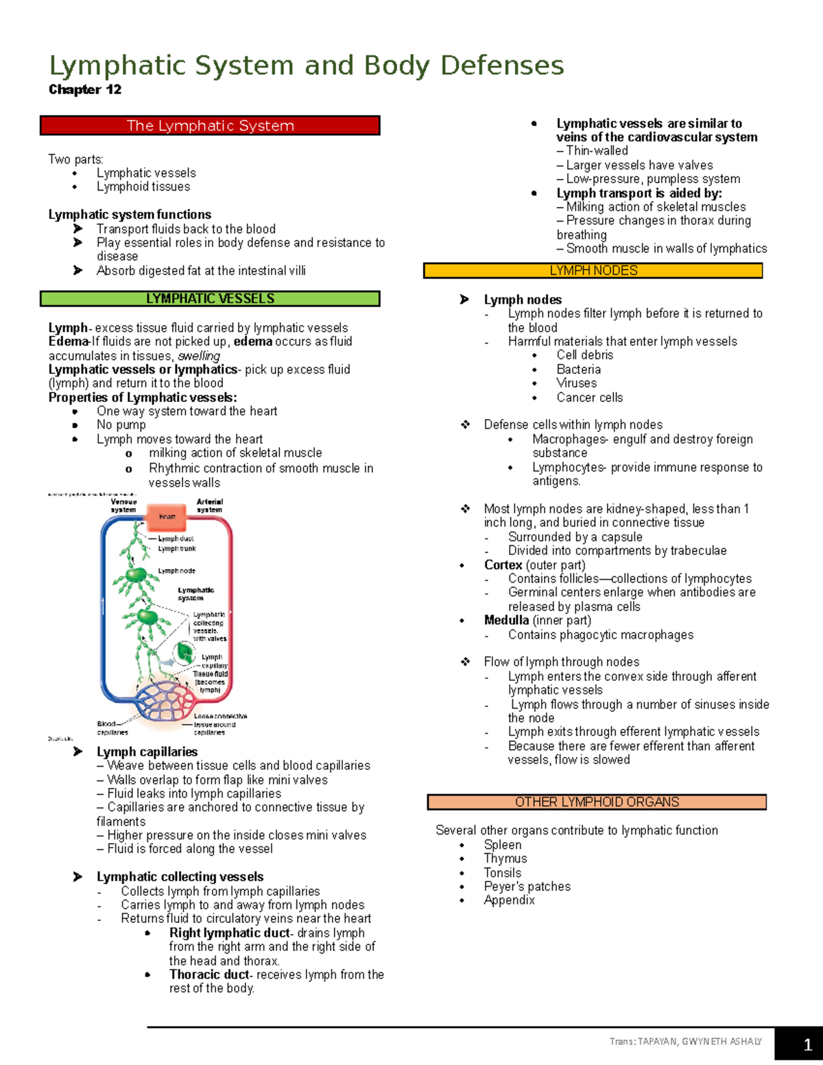 The-Lymphatic-System - Trans: TAPAYAN, GWYNETH ASHALY Lymphatic System ...