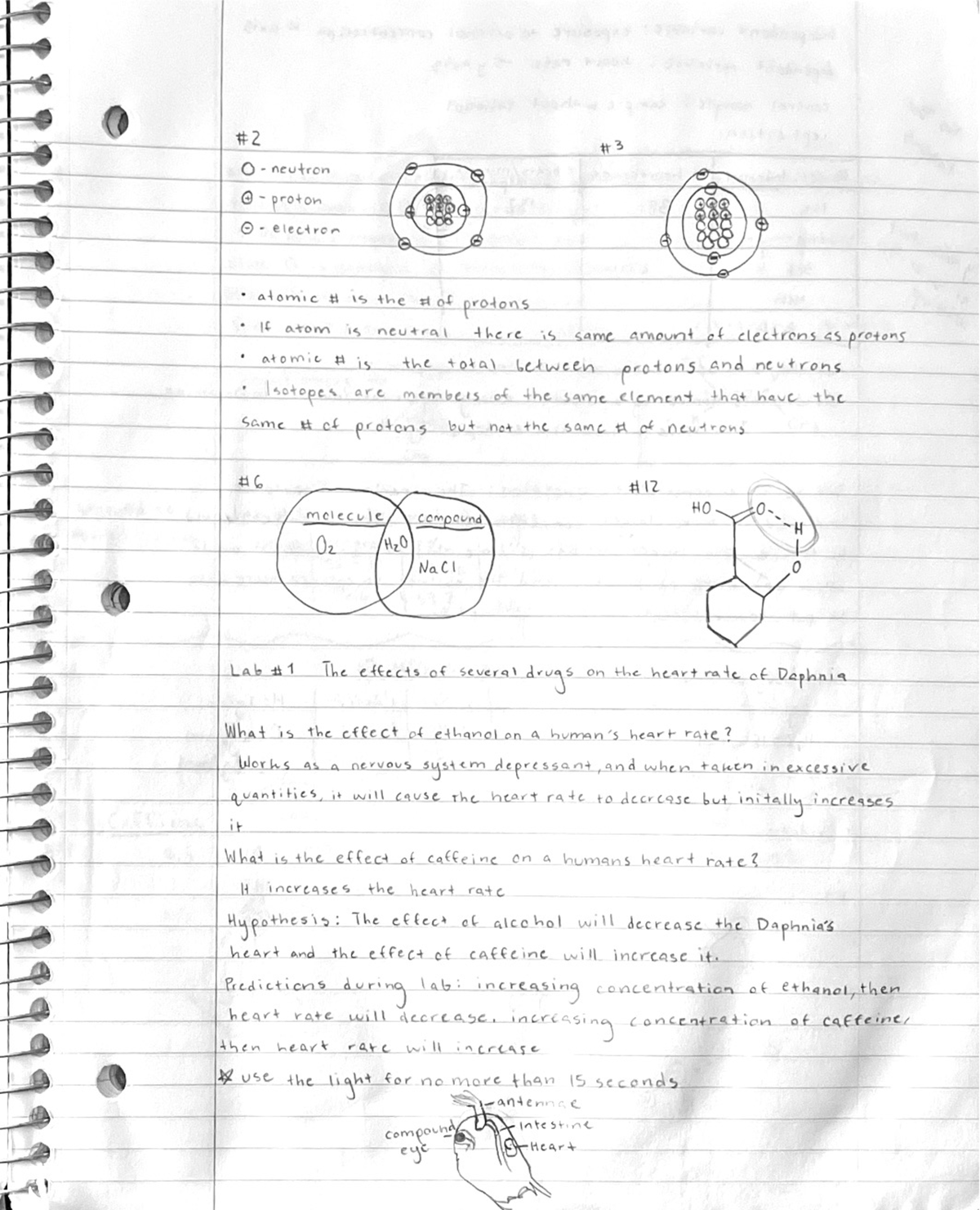 Lab 1 - Lab notes with possible hypothesis - BIOL 1021 - Studocu