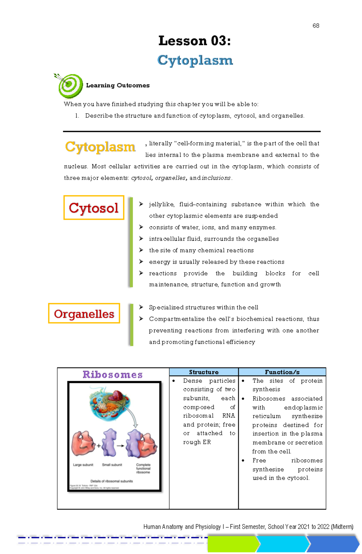 Cellular Level Module Lesson 3 - Learning Outcomes When you have ...
