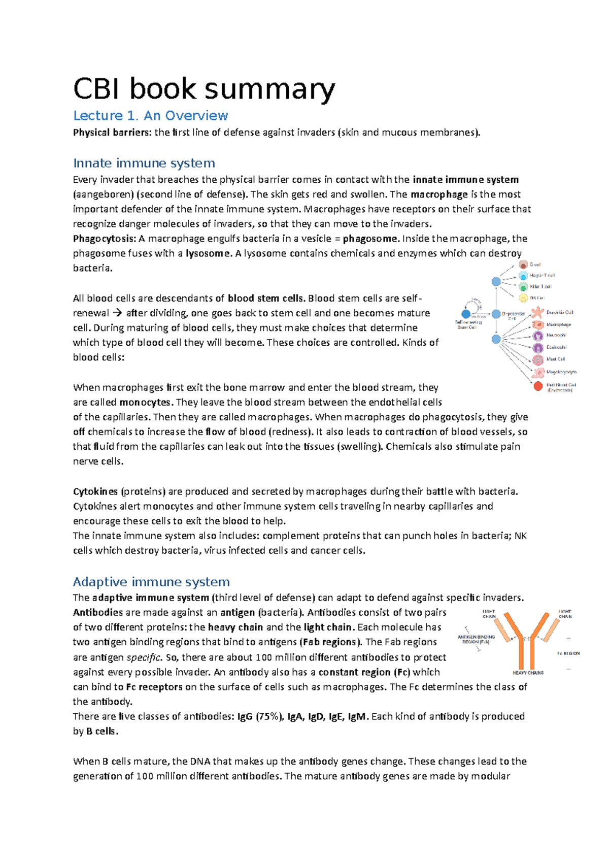 CBI book summary chapter 1-11 - CBI book summary Lecture 1. An Overview ...