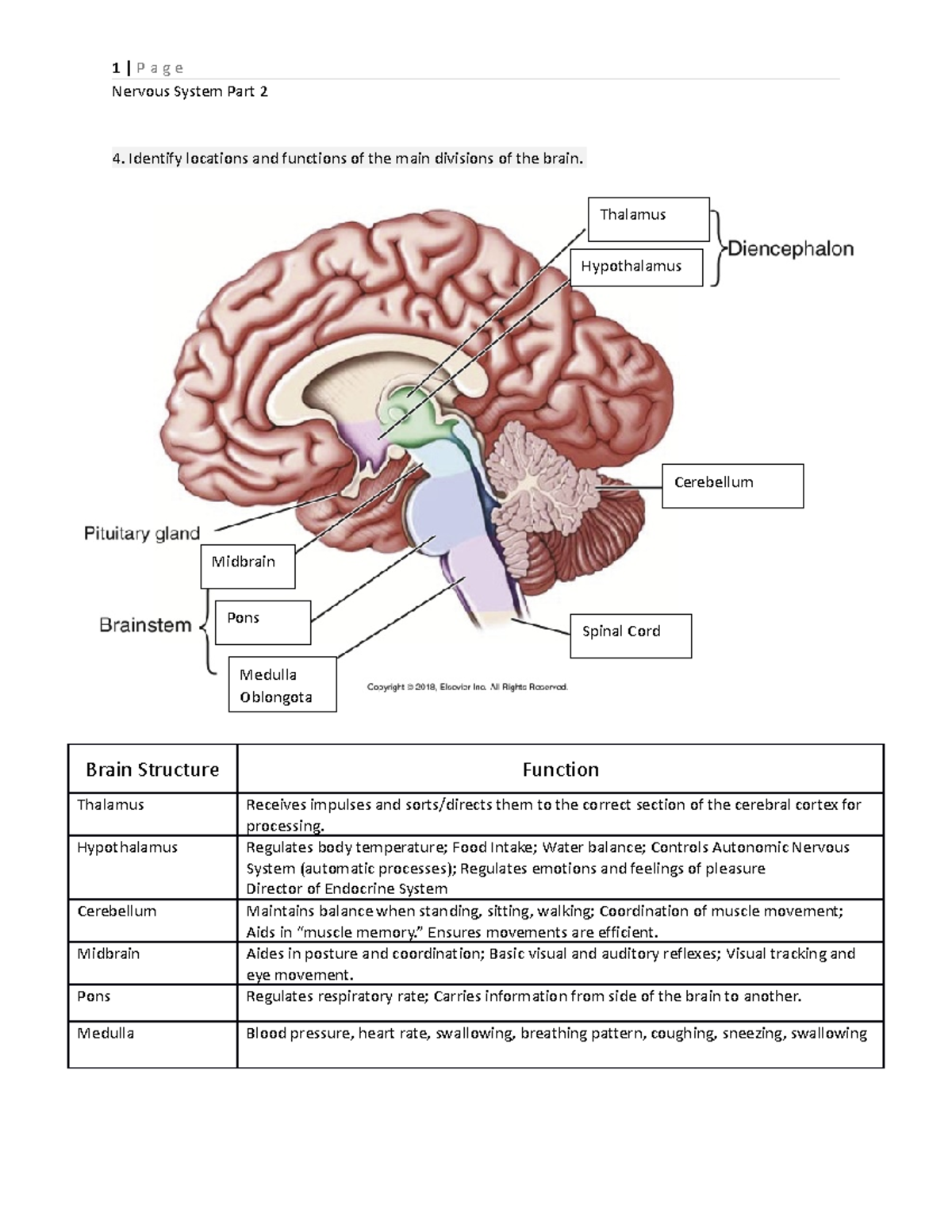 Neuro Handout 2 - Fall 2023 Completed - Nervous System Part 2 4 ...