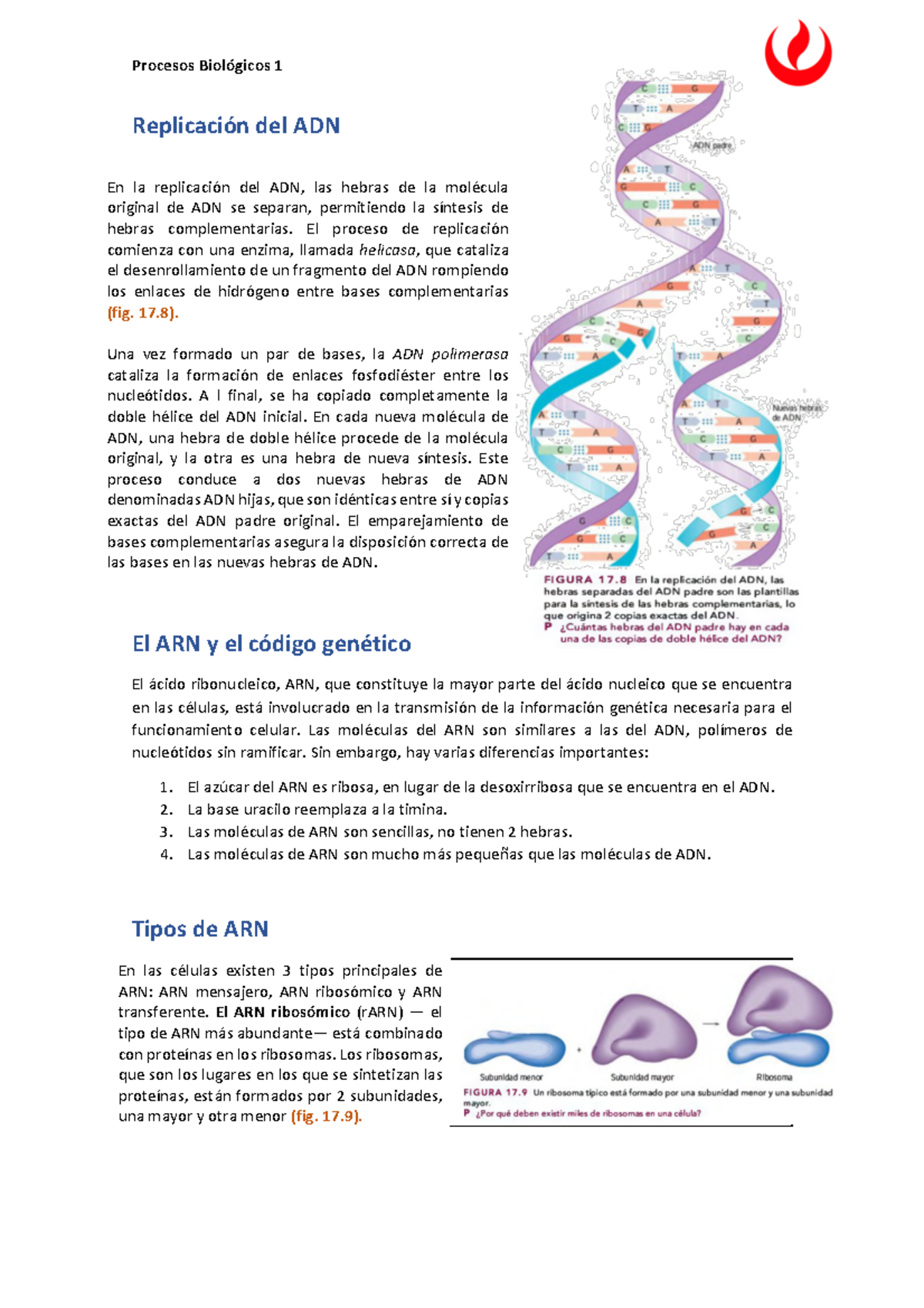 Lectura 2 Semana 09 Resumen - Replicación del ADN En la replicación del ADN, las hebras de la ...