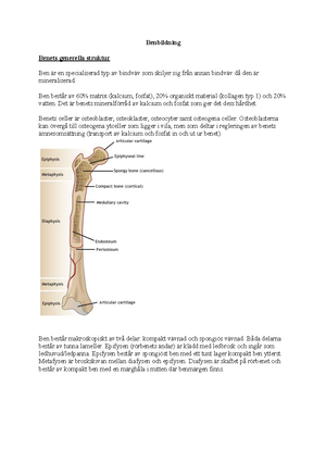 Handens ben - En sammanfattning av anatomi - HANDEN RÖRELSER x Handled ...
