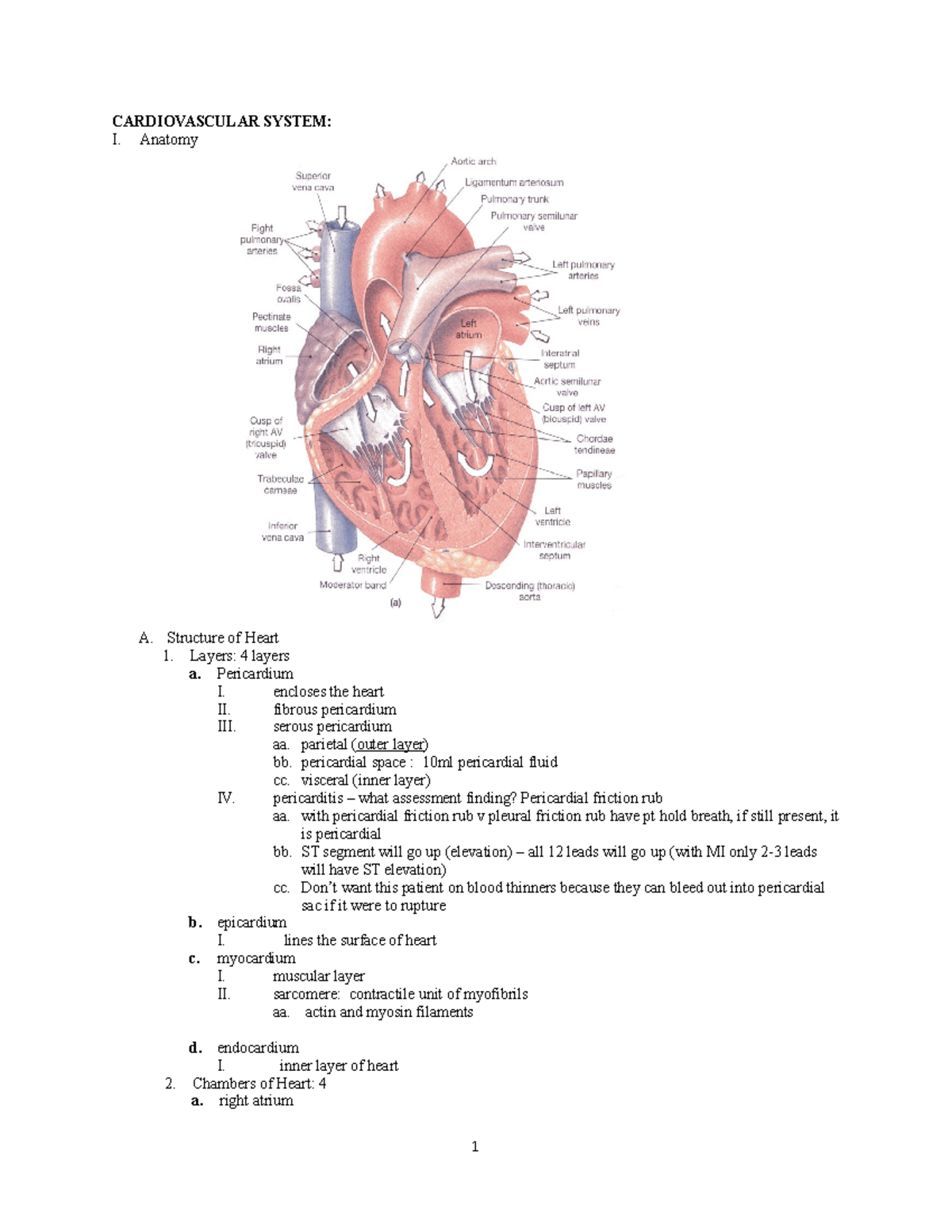 Cardiac - A&P Week 1 Critical Care - CARDIOVASCULAR SYSTEM: I. Anatomy ...