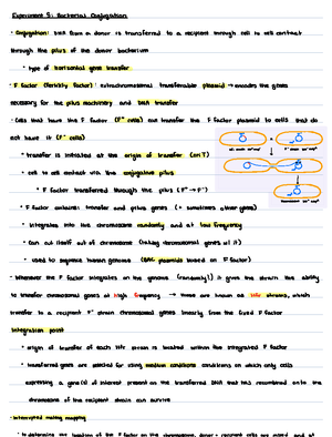 Experiment 3 Phenotypic Analysis of Bacteria by Microscopy - Experiment ...