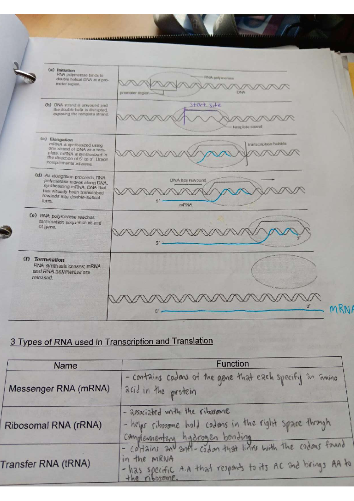 Grade 12 Genetics Unit 3 - Studocu