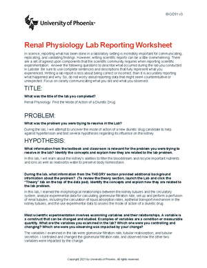 Week 1 Lab report - BIO/291 v Hematology Lab Reporting Worksheet In ...