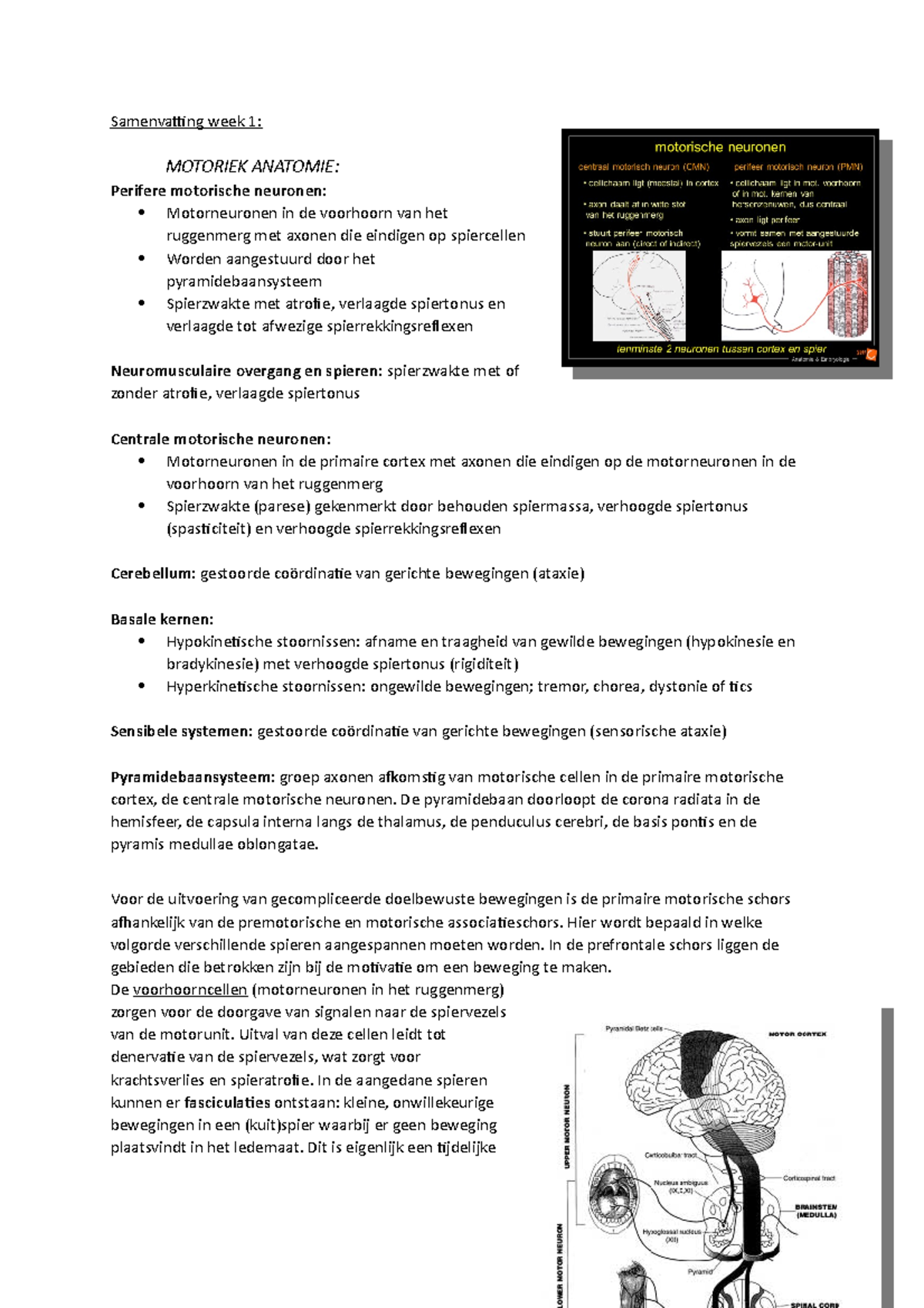 Samenvatting week 1 - De pyramidebaan doorloopt de corona radiata in de ...