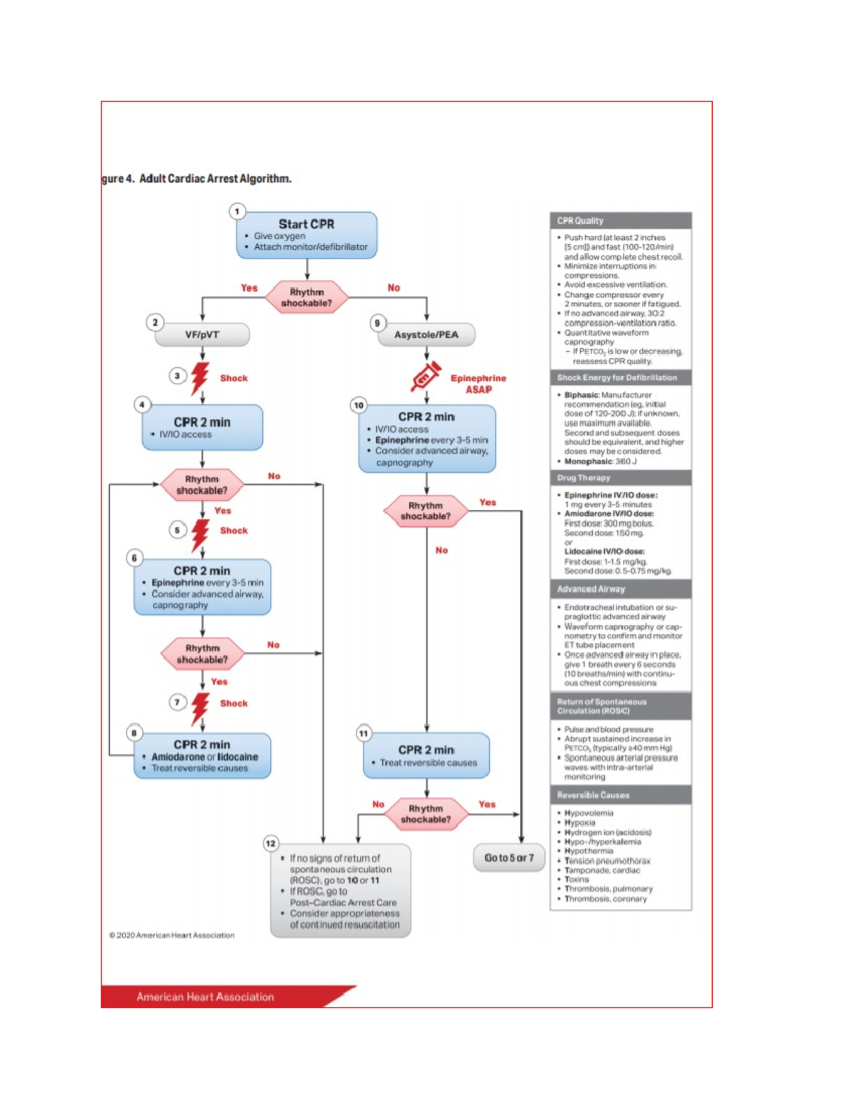 ACLS Adult Cardiac Arrest Algorithm - NUR 426 - Studocu