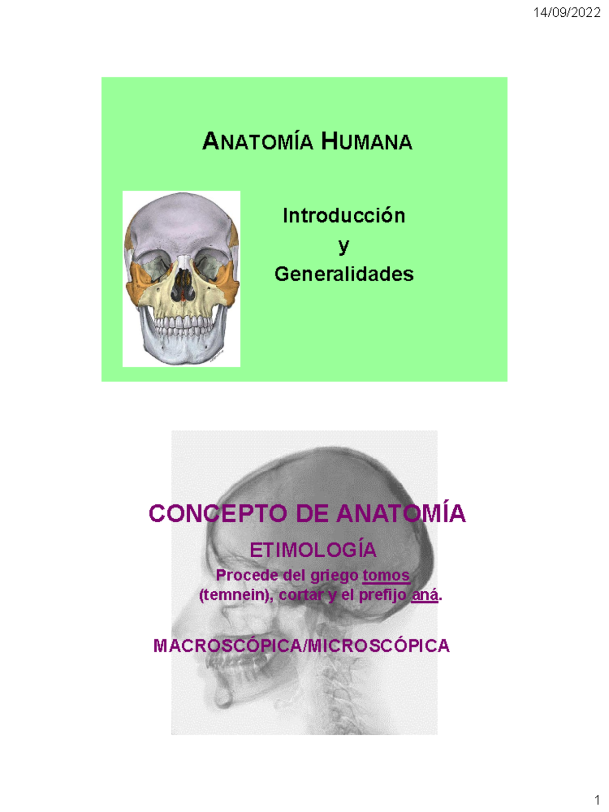Anatom%C3%8DA+ Humana+2 - ANATOMÕA HUMANA IntroducciÛn y Generalidades ...
