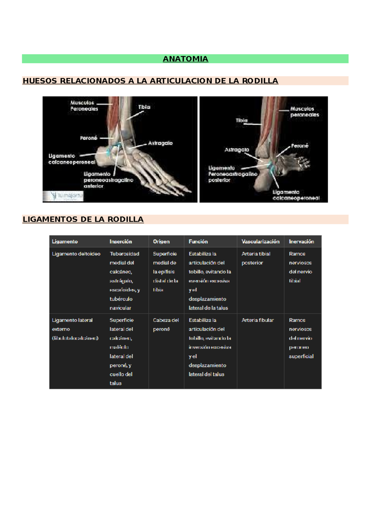Rodilla 1 - Medicina Interna - ANATOMIA HUESOS RELACIONADOS A LA ...