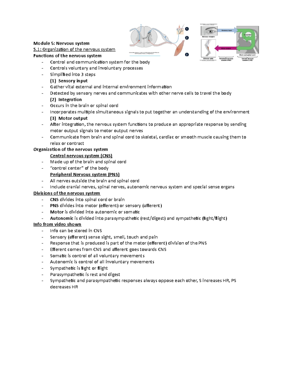 Anat 100 Module 5 - Module 5: Nervous system 5: Organization of the ...