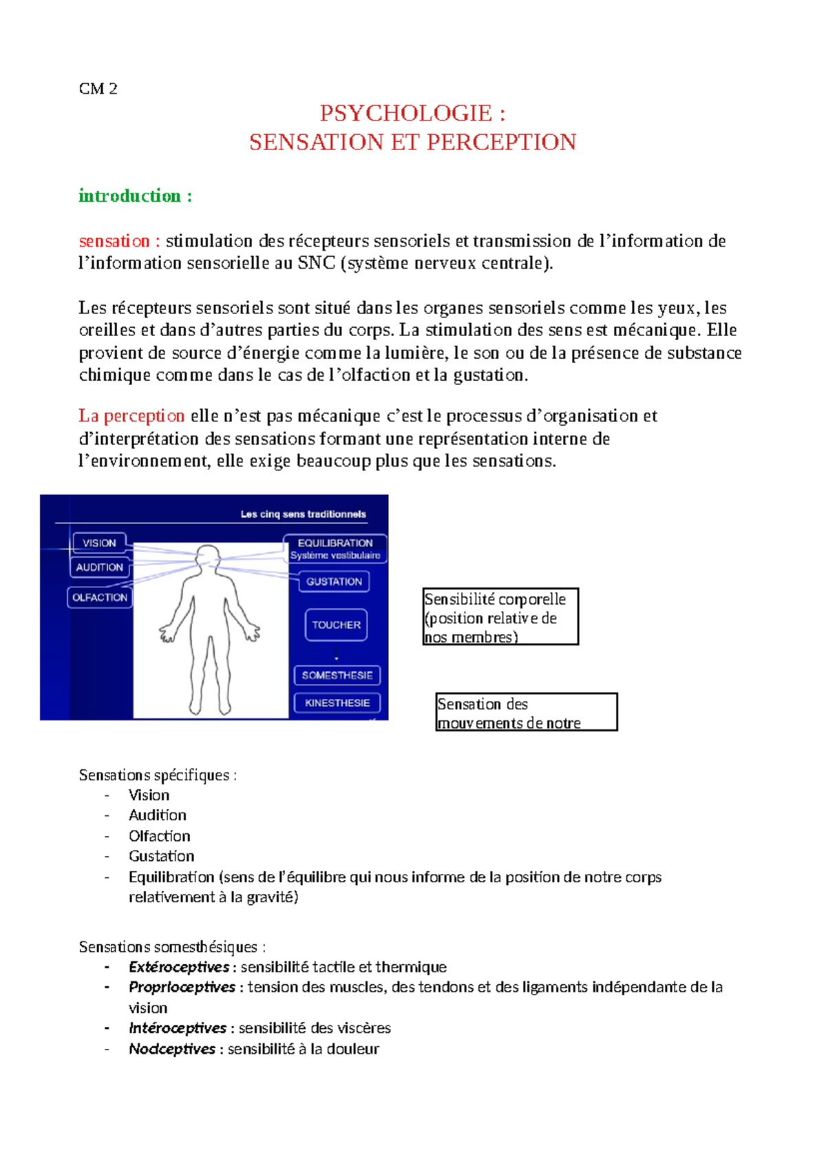 CM 2 note (sensation perception) - CM 2 PSYCHOLOGIE : SENSATION ET ...