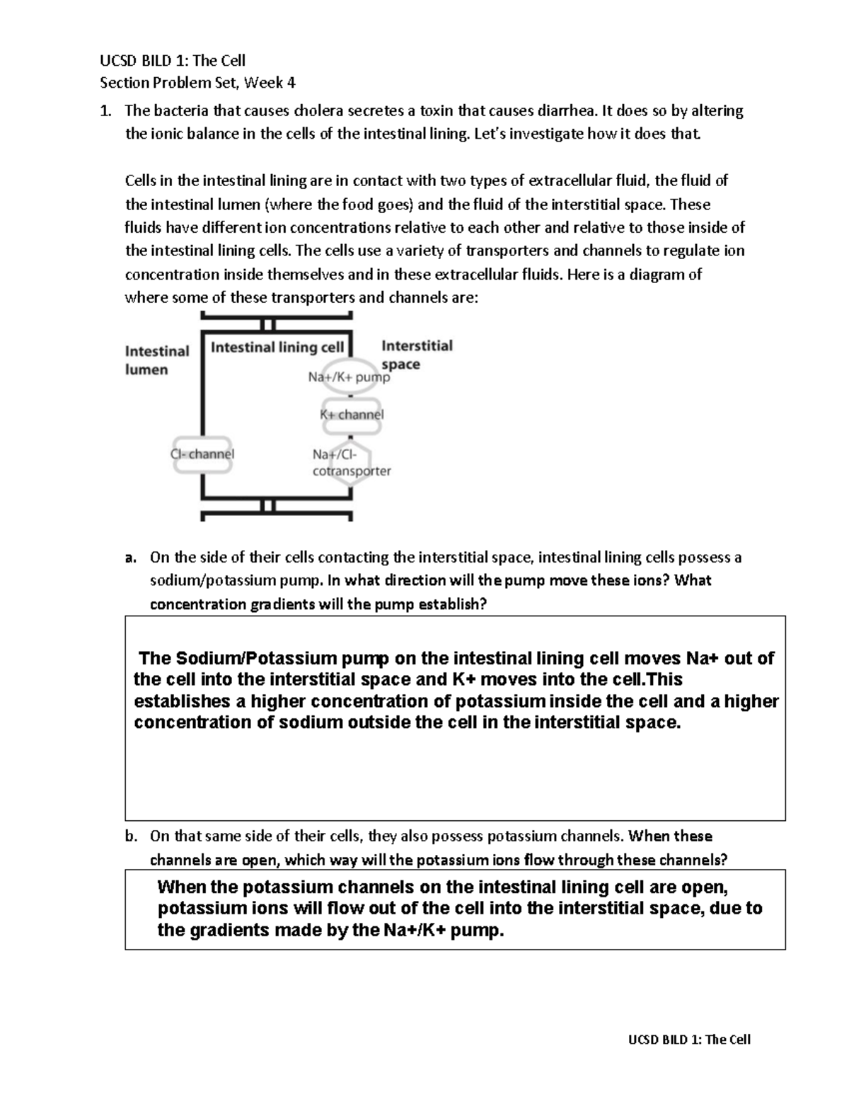 BILD 1 Week 4 Activity (asynchronous) - Section Problem Set, Week 4 The bacteria that causes ...