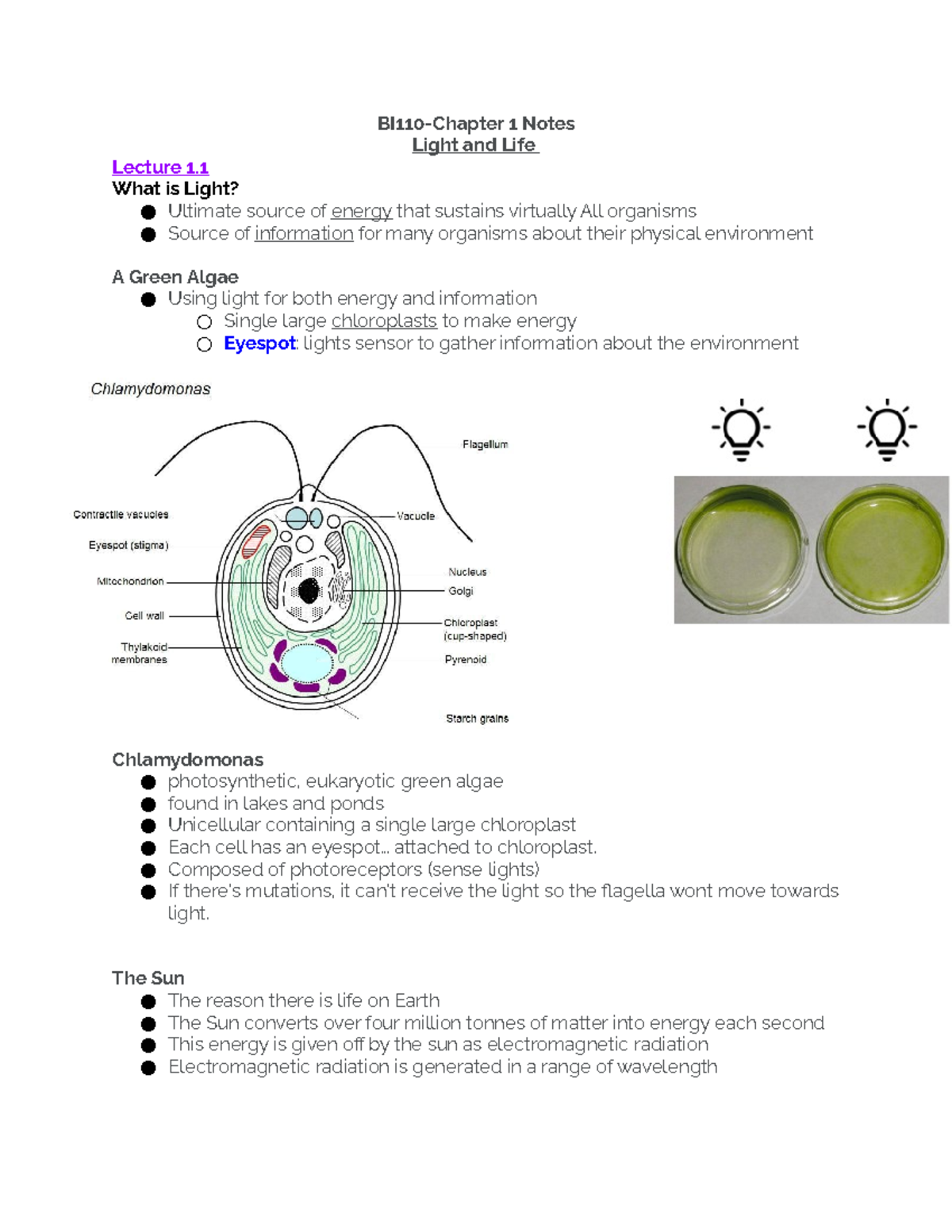 BI110-Chapter 1 Notes Light and Life - BI110-Chapter 1 Notes Light and ...
