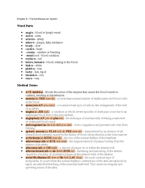 Chapter 3 - The Skeletal System - Chapter 3 - The Skeletal System Major ...