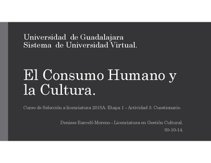 Líneas de investigación cultural en México - Universidad de Guadalajara ...
