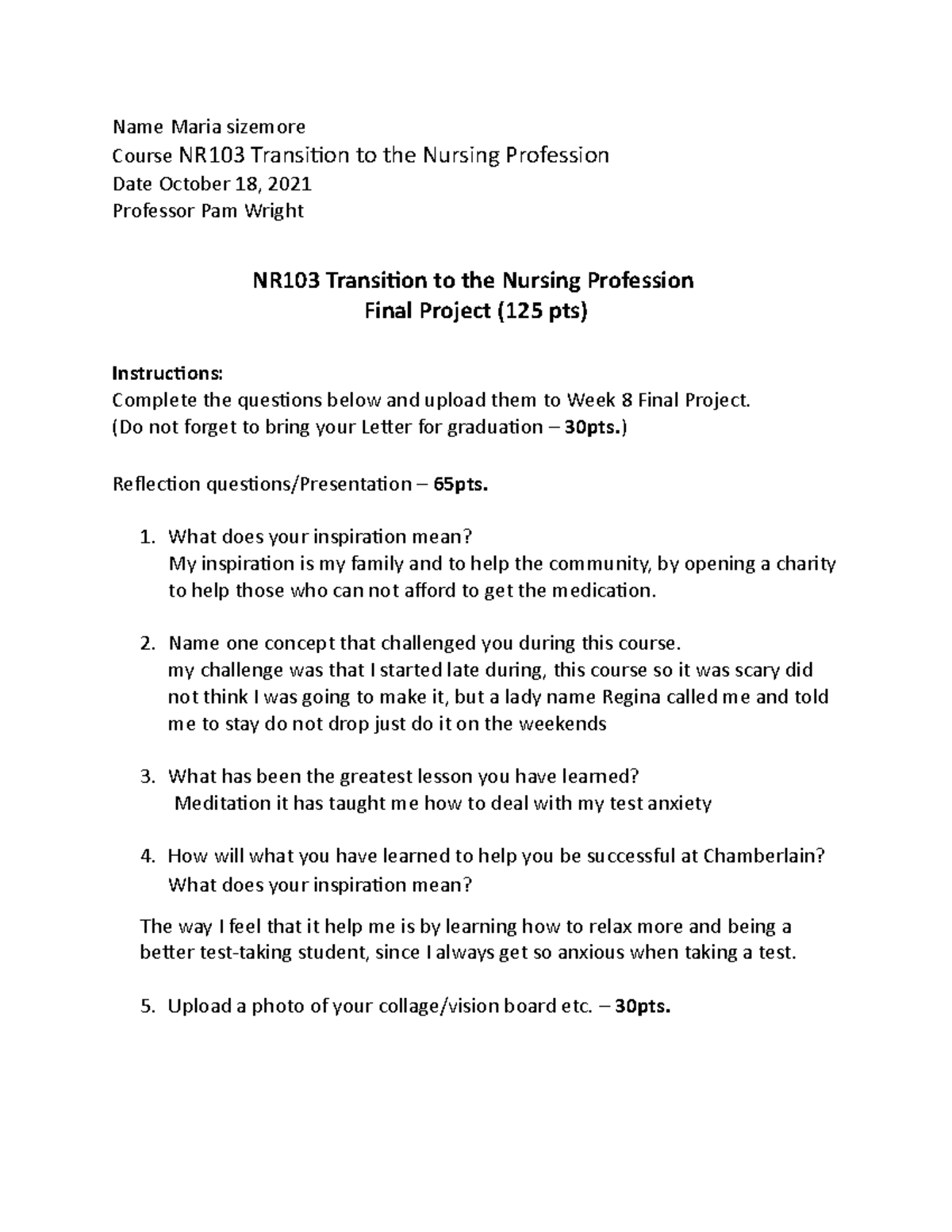 NR103 Transition to the Nursing Profession Final Project Assignment ...