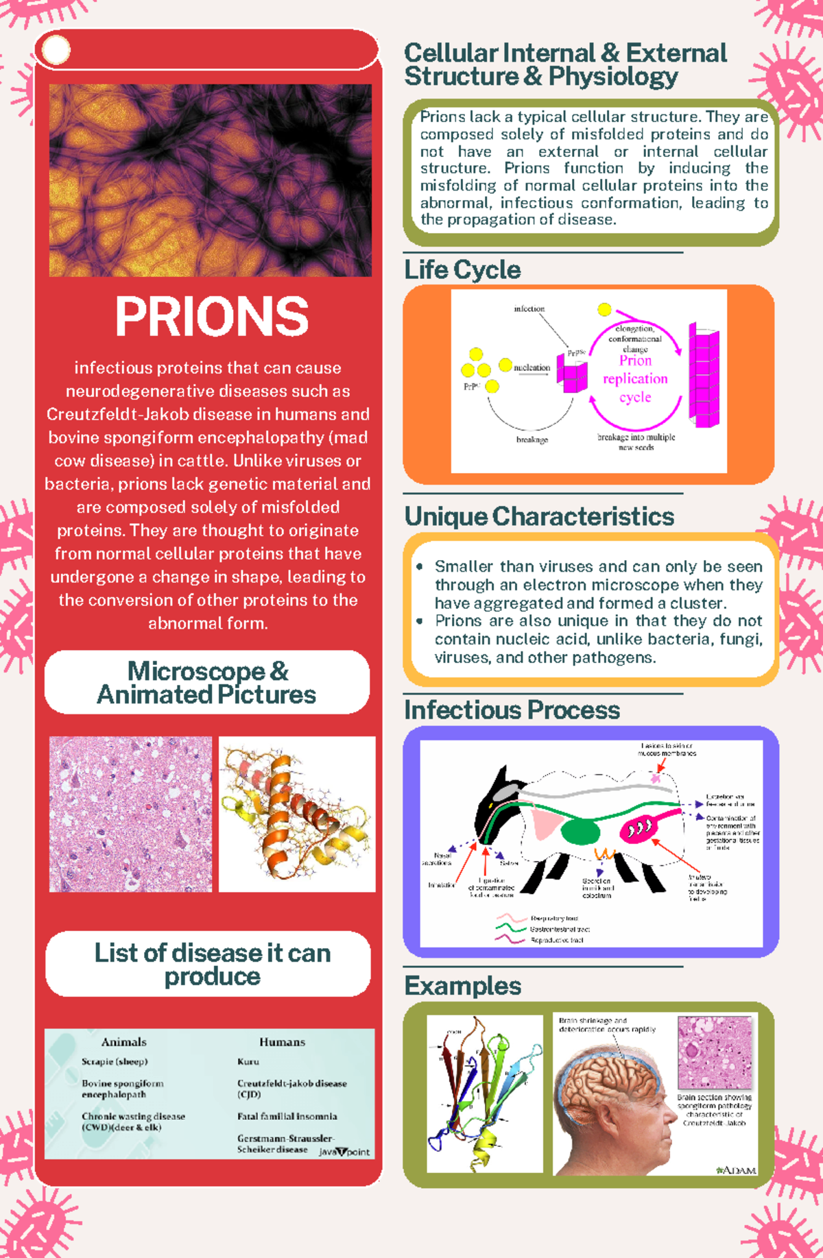 Prions - Microbiology - Cellular Internal & External Structure ...