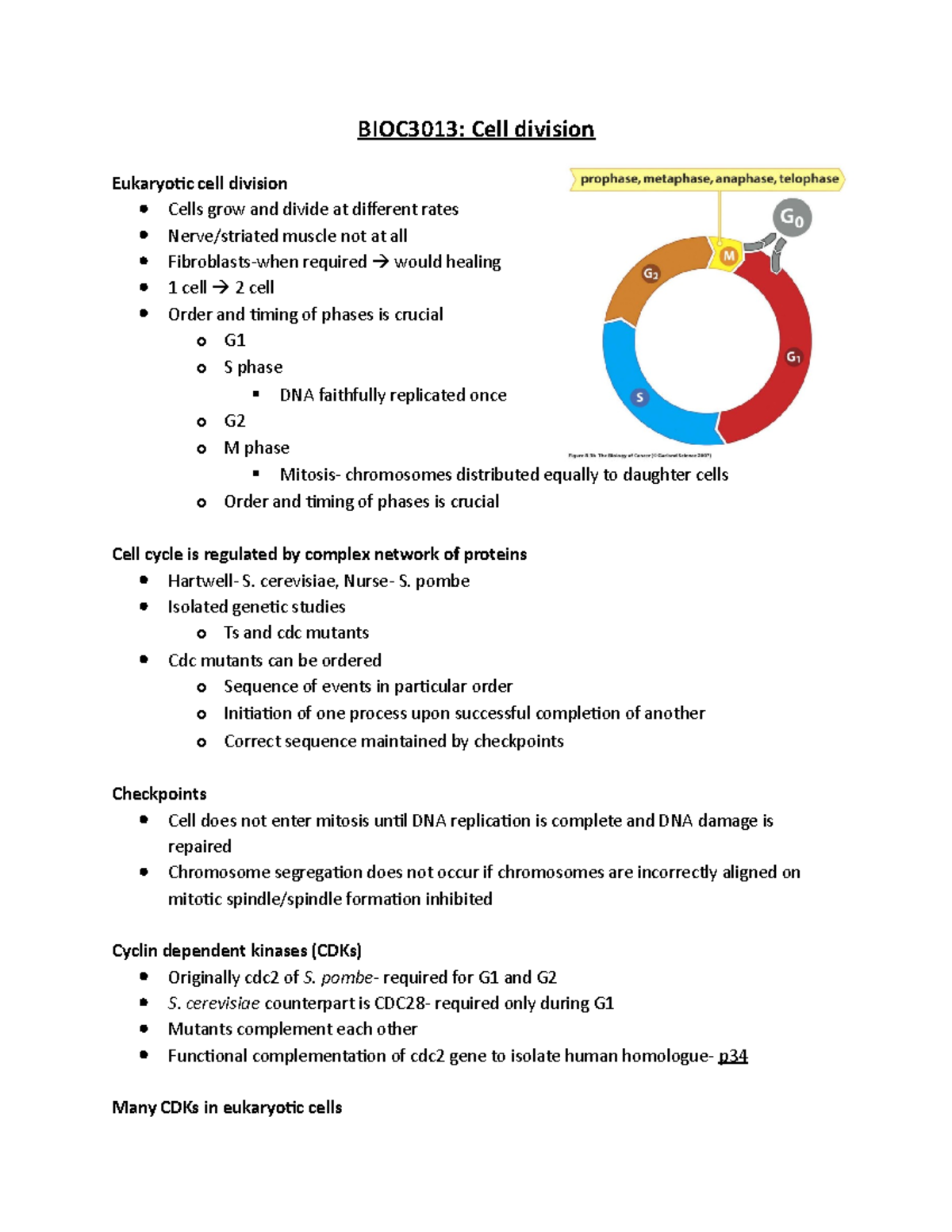 Cell division - BIOC3013: Cell division Eukaryotic cell division Cells ...