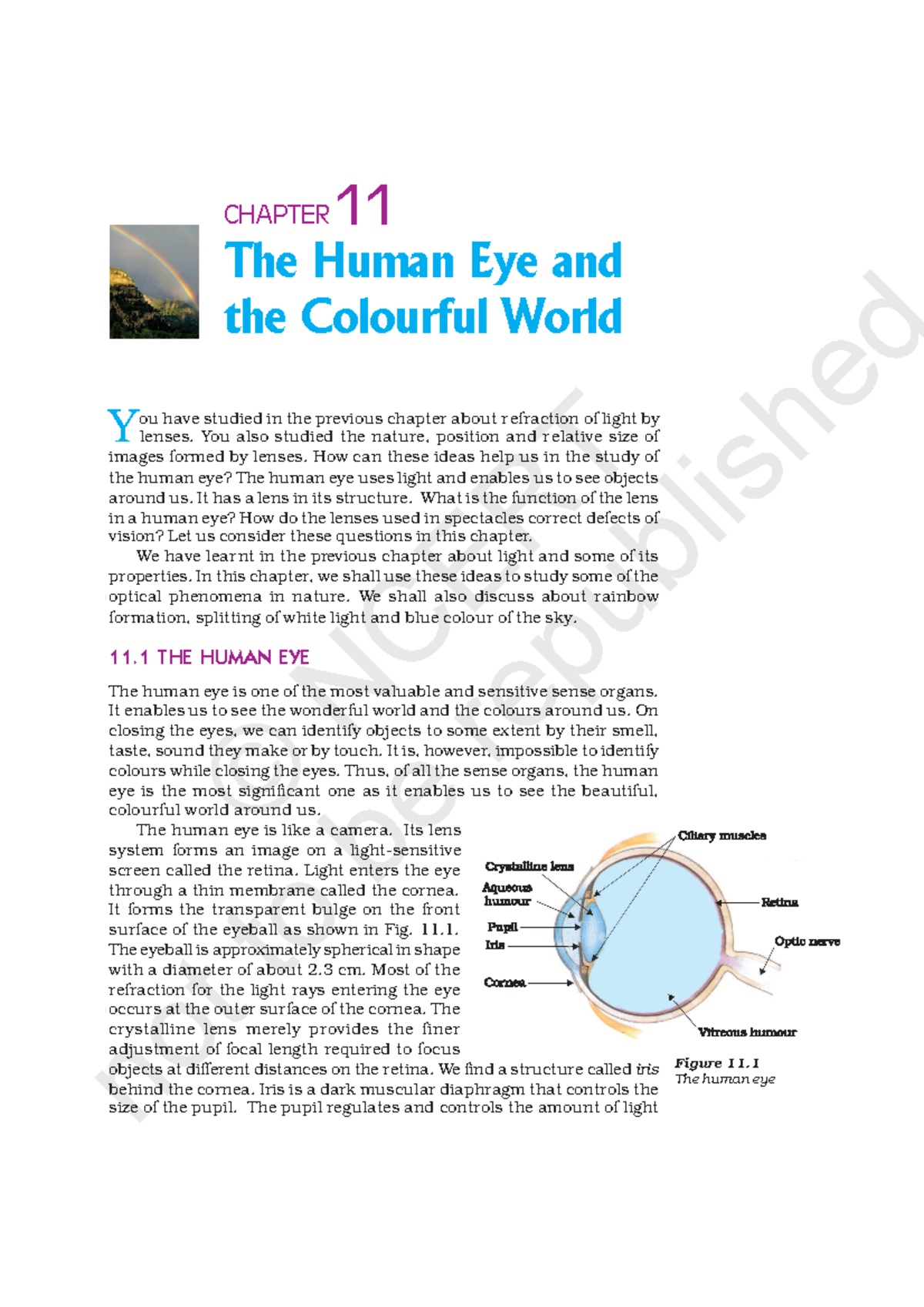Jesc111 - The Human Eye and the Colourful World CHAPTER 11 Y ou have ...