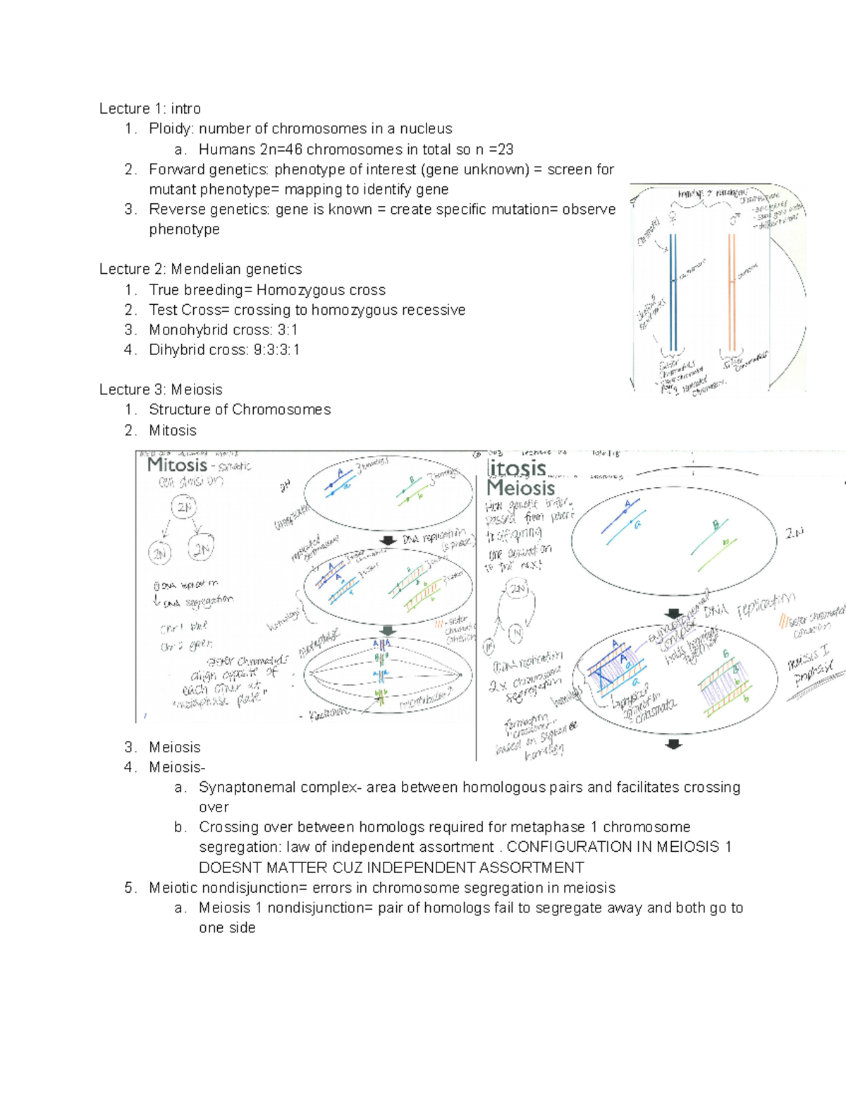 BIS 101 final - Lecture 1: intro 1. Ploidy: number of chromosomes in a ...