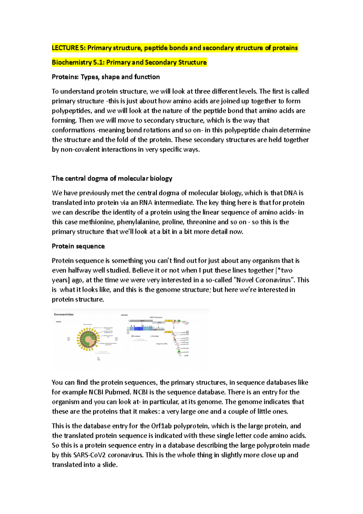 Biochemistry Module 5 Primary structure, peptide bonds and secondary structure of proteins - Studocu