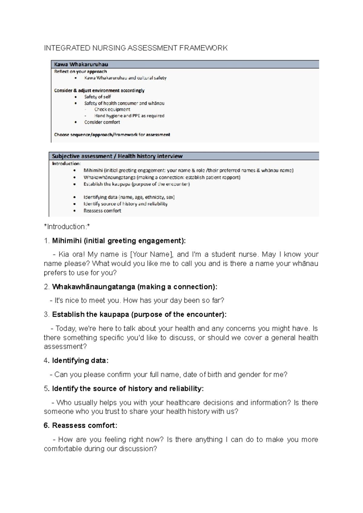 Integrated Nursing Assessment Framework - INTEGRATED NURSING ASSESSMENT ...
