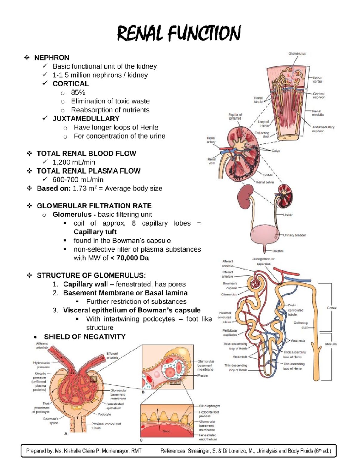 III. Renal Function - Lecture notes 3 - Medical Technology - StuDocu