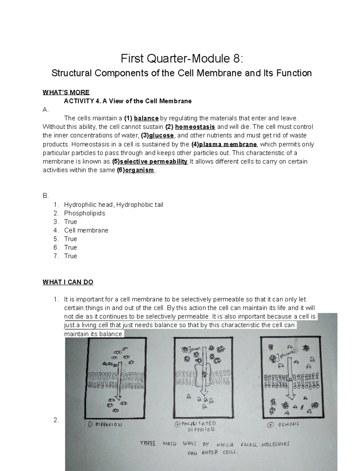 General Biology Structural Components of the Cell Membrane and Its ...