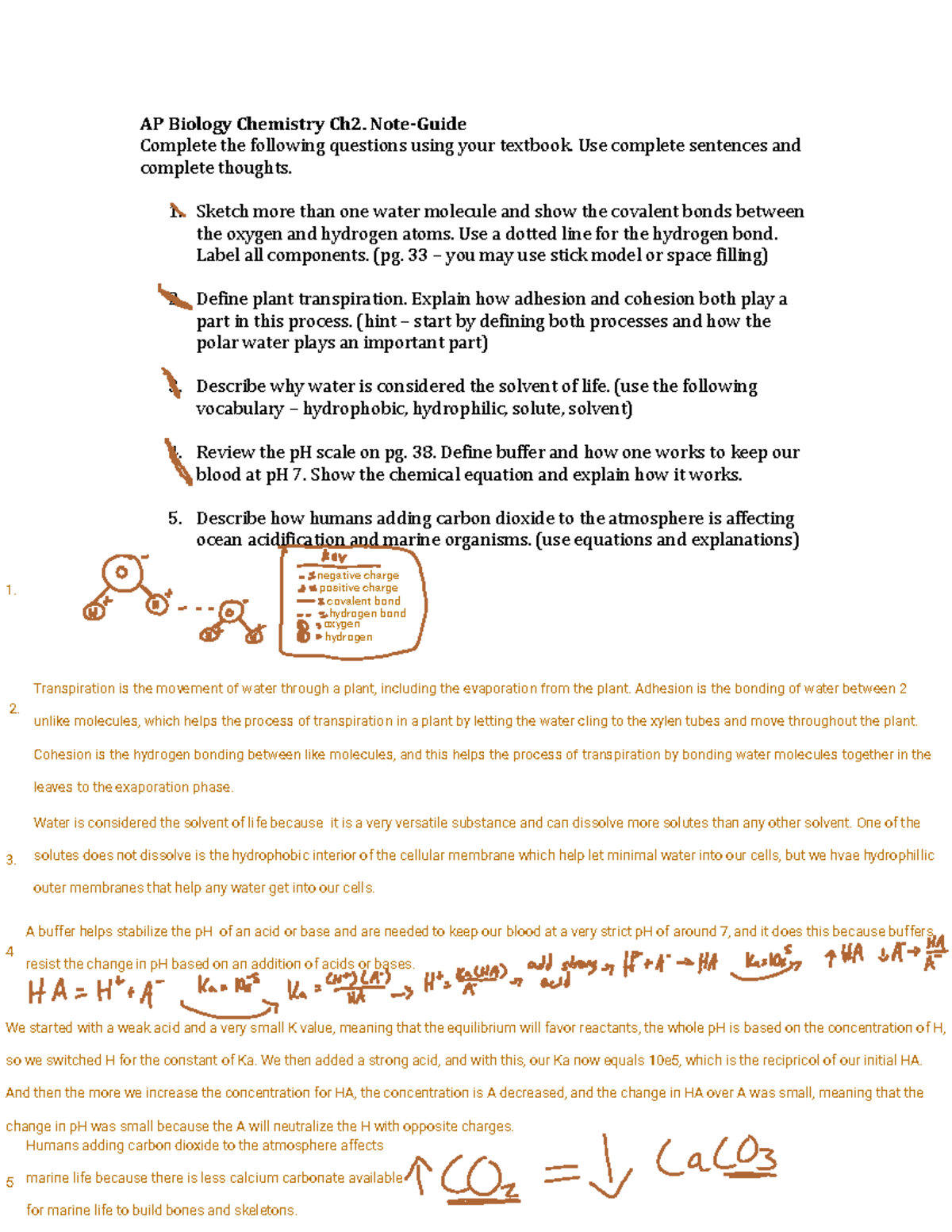 AP Biology Chemistry practice - AP Biology Chemistry Ch2. Note-Guide ...
