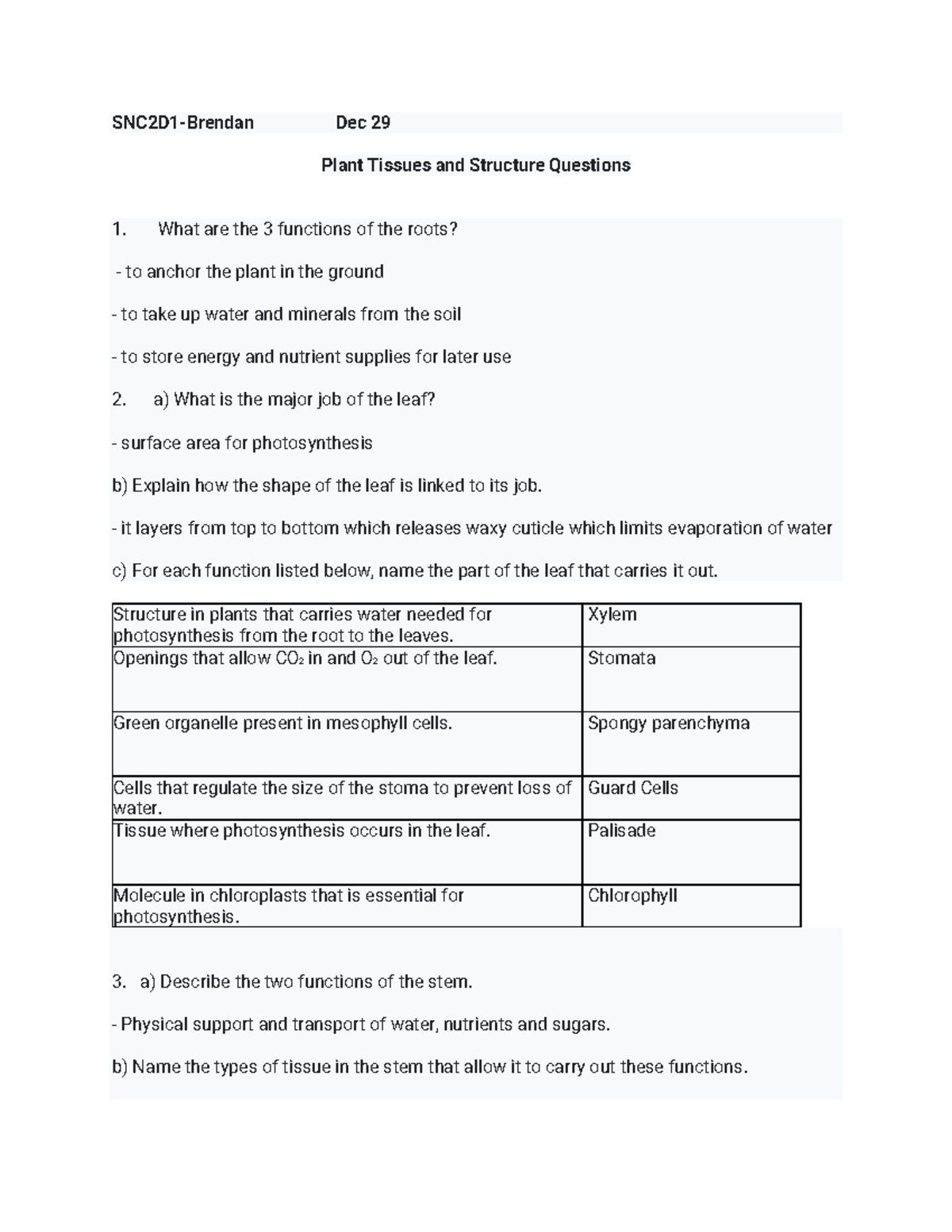 Brendan-Lesson 2-Unit6- Plant Tissues Worksheet - SNC2D1-Brendan Dec 29 ...