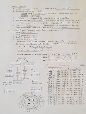 Cell notes fillin students - Unit 2: Cells & Histology A&P Chapter 3 ...