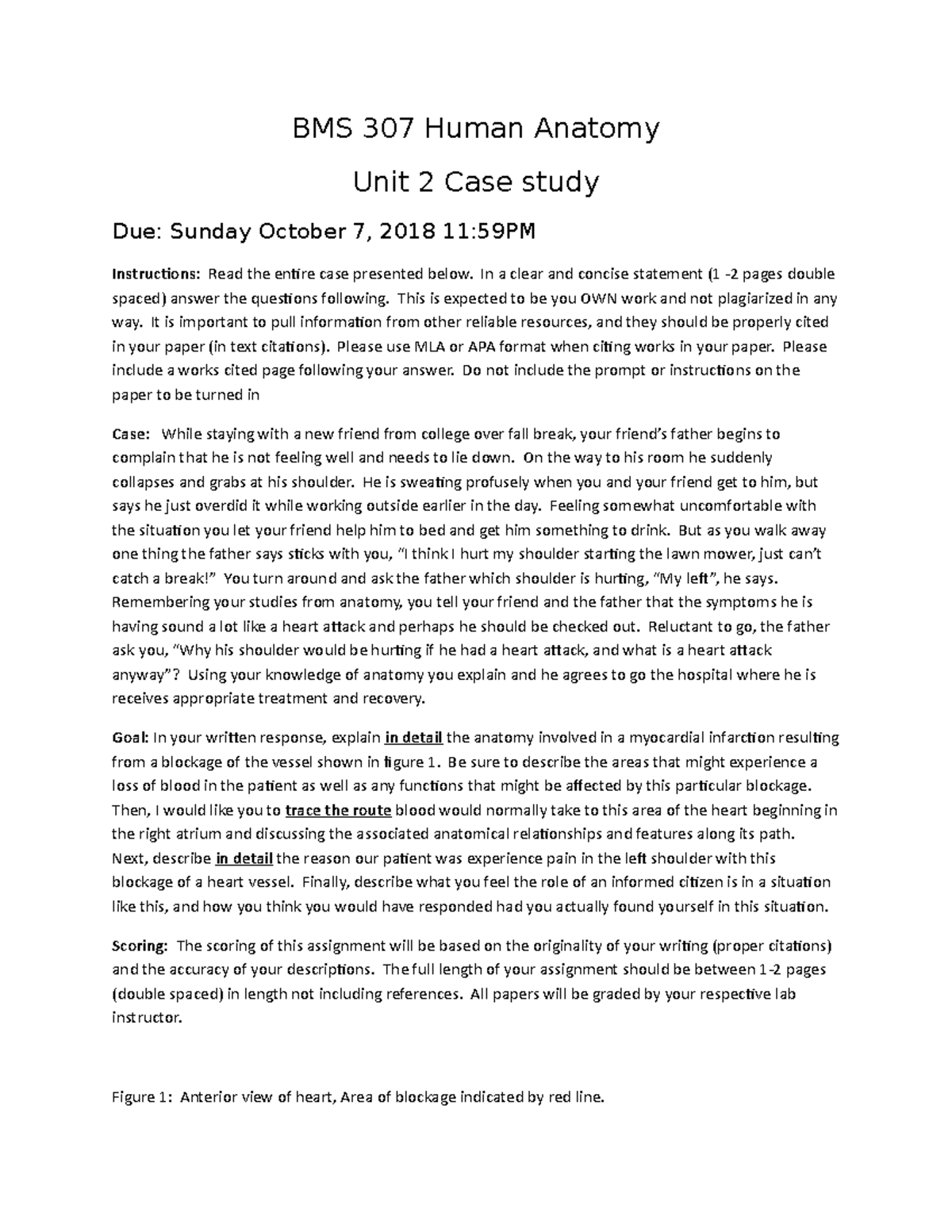 Unit 2 case study - BMS 307 Human Anatomy Unit 2 Case study Due: Sunday ...
