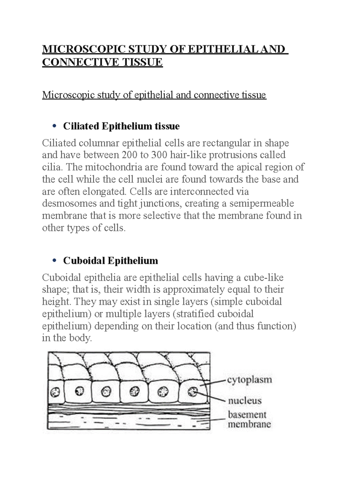 Microscopic Study OF Epithelial AND Connective Tissue - MICROSCOPIC ...